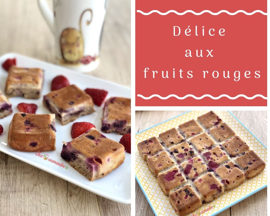 Délice aux fruits rouges - Chezgourmandine